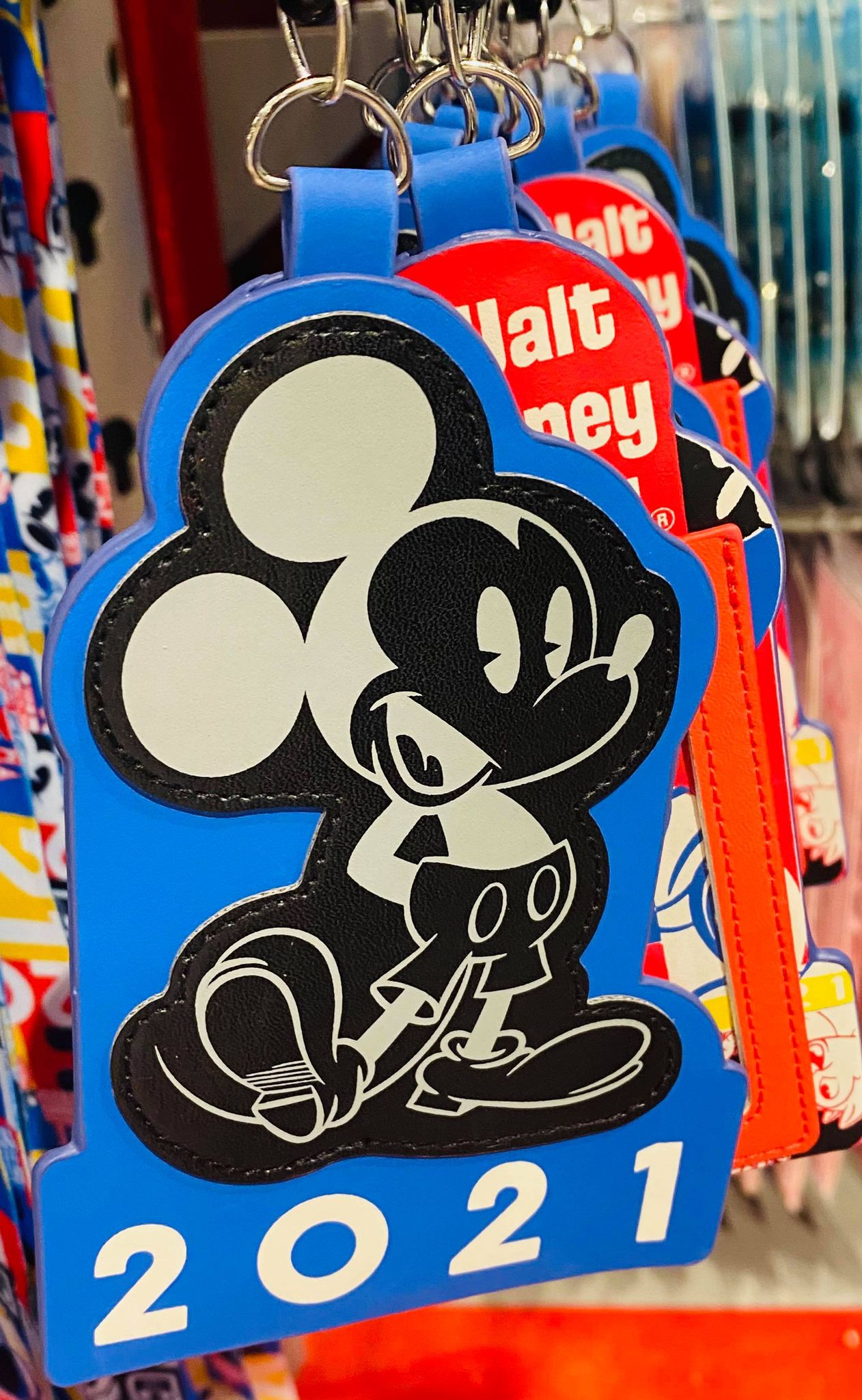 2021 Disney World Lanyards and ID Tags will have you ready for the NEW ...