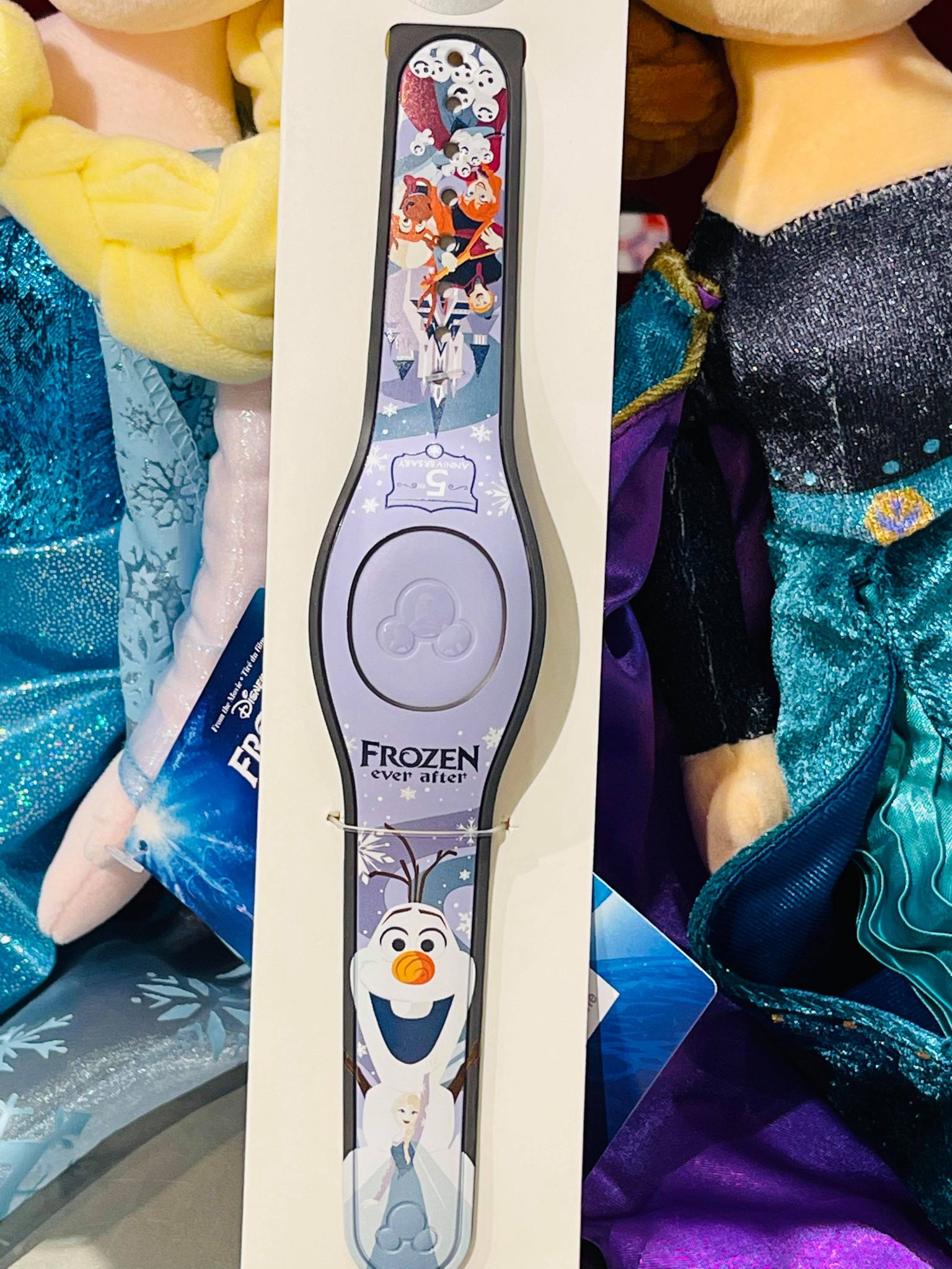 Limited Release Frozen Ever After MagicBand Now Available - Disney ...